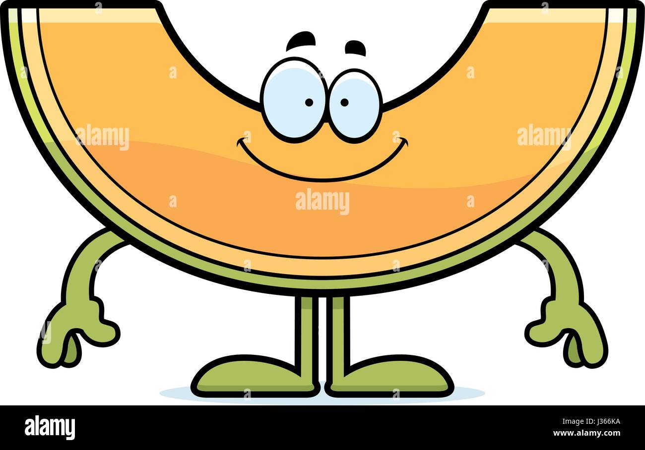 A cartoon illustration of a cantaloupe looking happy Stock Vector Image ...