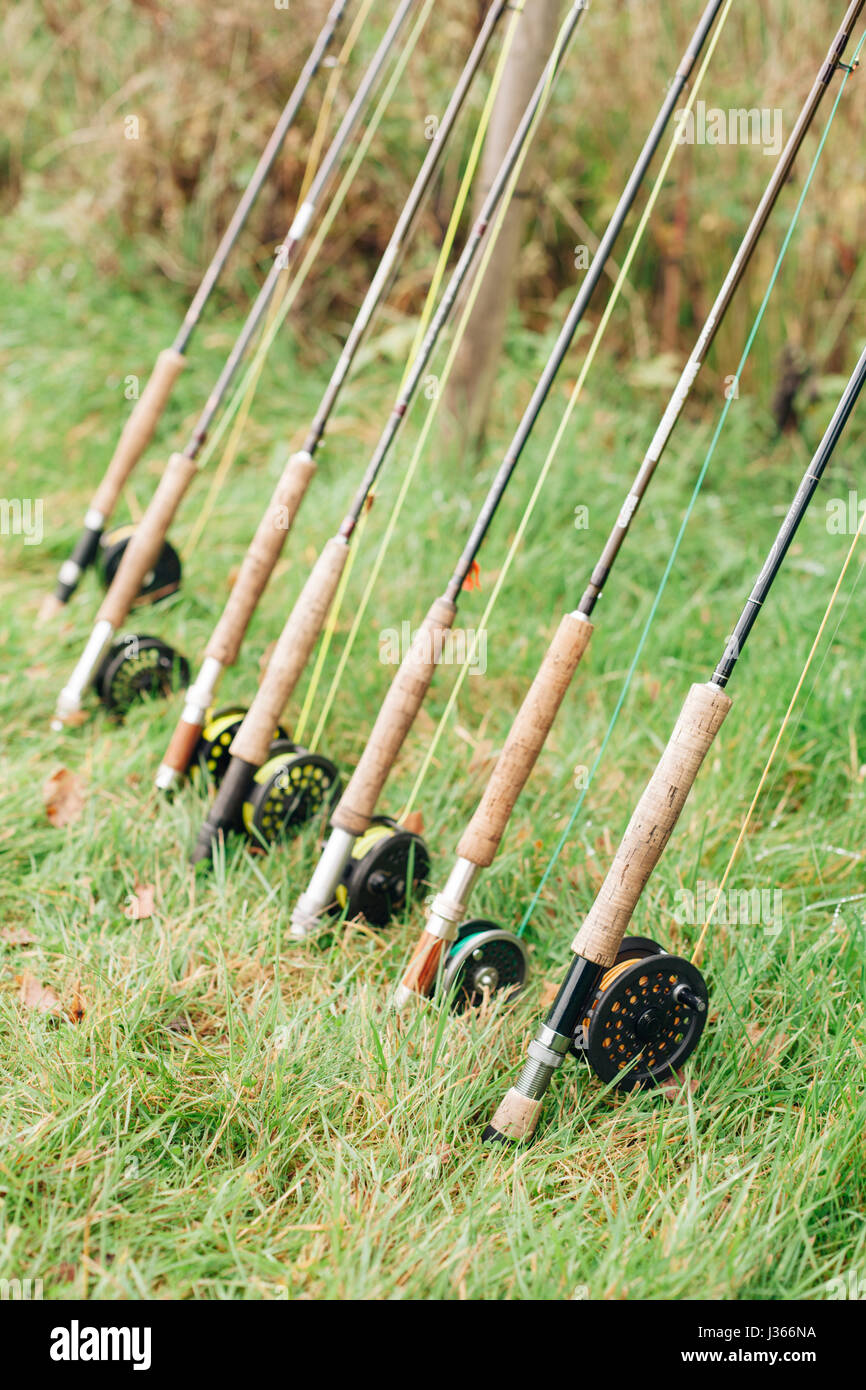 Fishing rods lined up hi-res stock photography and images - Alamy