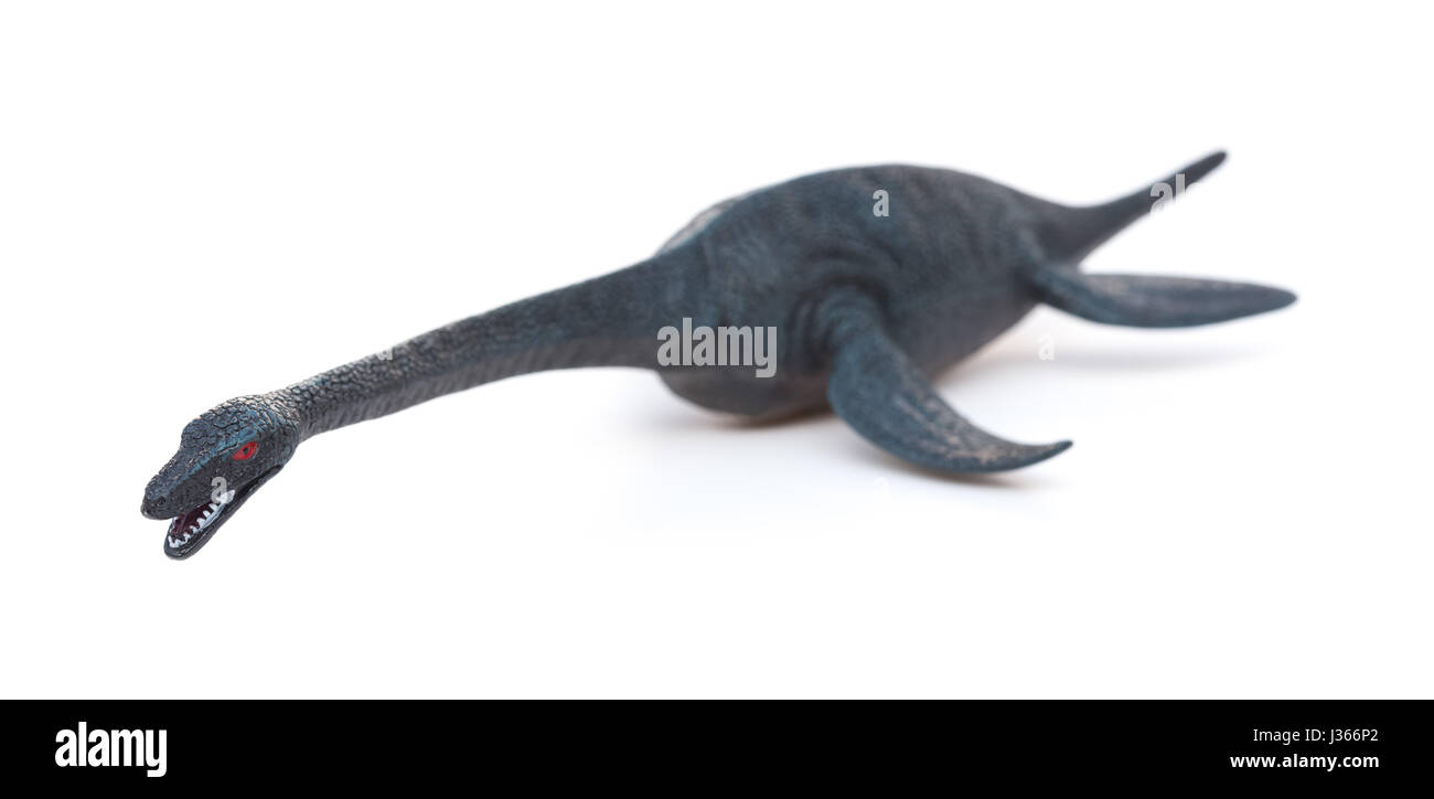 plesiosaurus on a white background Stock Photo - Alamy