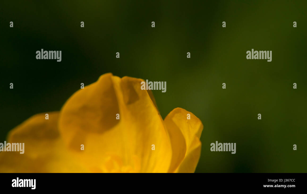 Unnatural light hi-res stock photography and images - Alamy