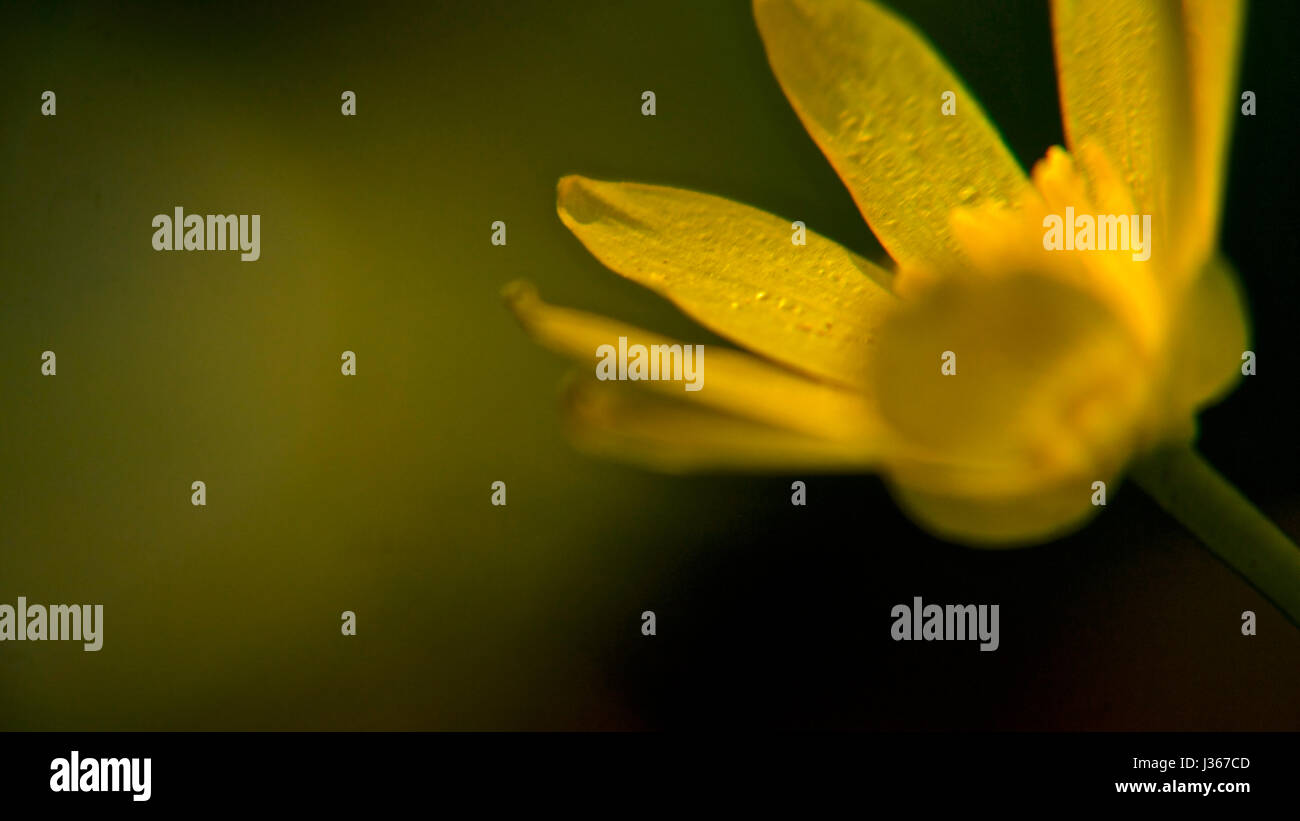 Unnatural Light High Resolution Stock Photography and Images - Alamy