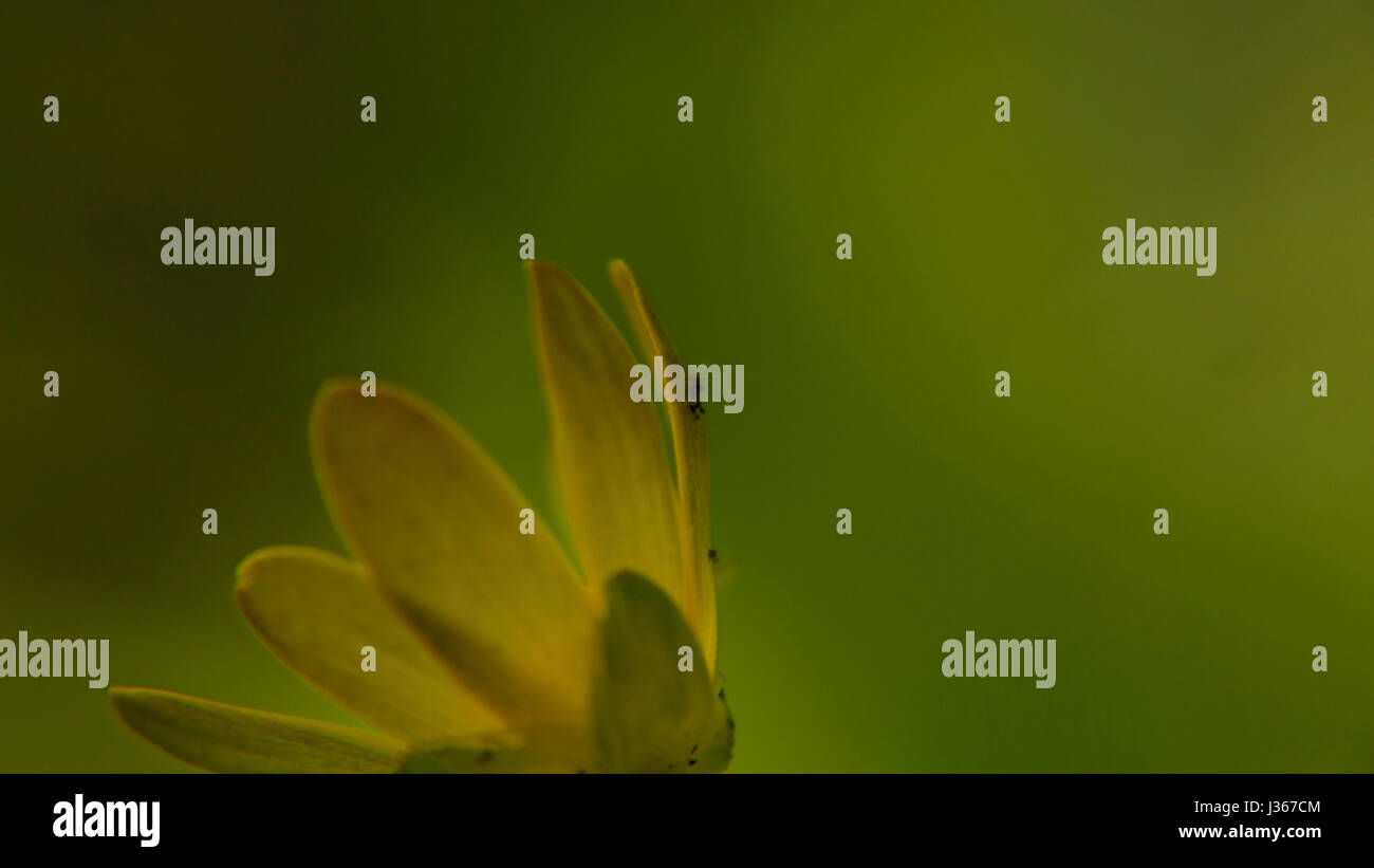 Unnatural light hi-res stock photography and images - Alamy