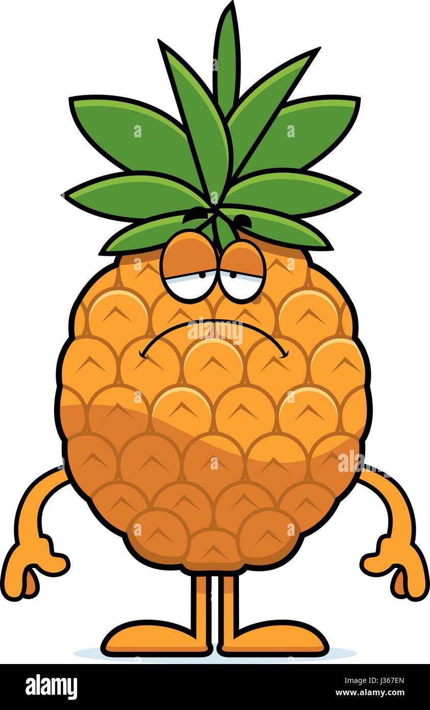 A cartoon illustration of a pineapple looking sad Stock Vector Image ...
