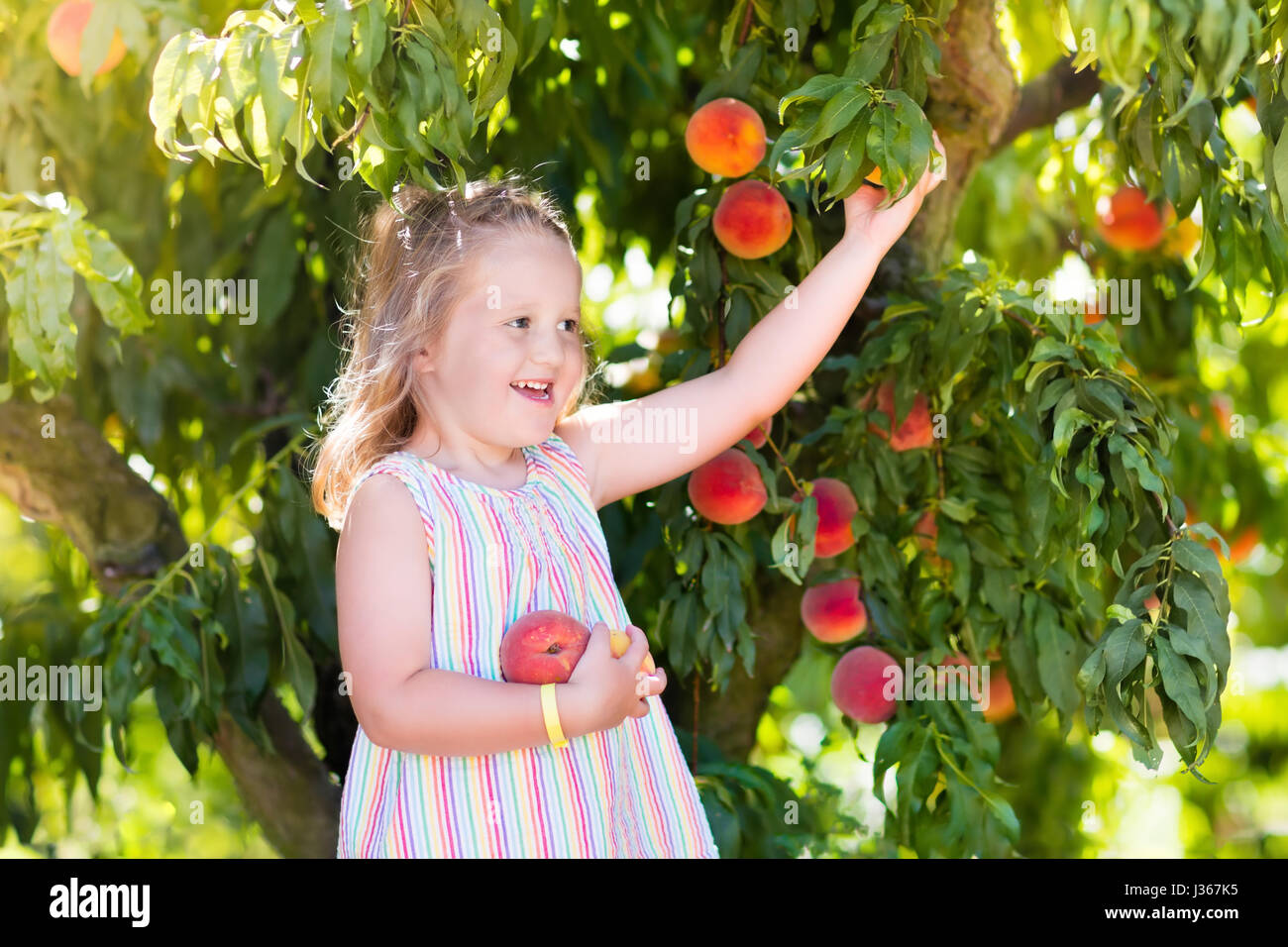 Kid eating peach hi-res stock photography and images - Alamy
