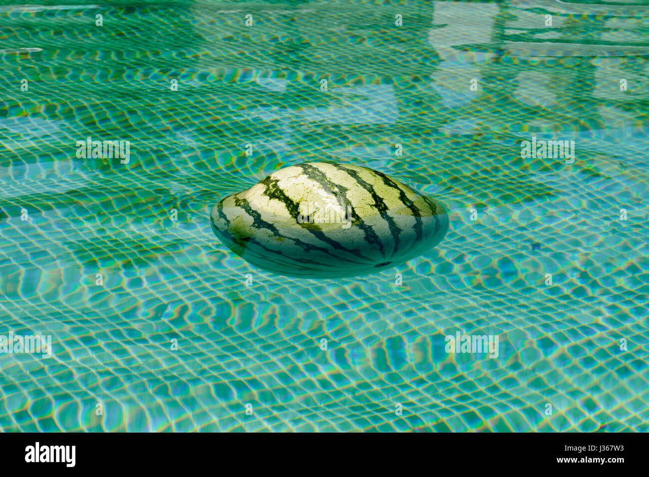 Watermelon floating in a swimming pool with green tiles floor Stock ...