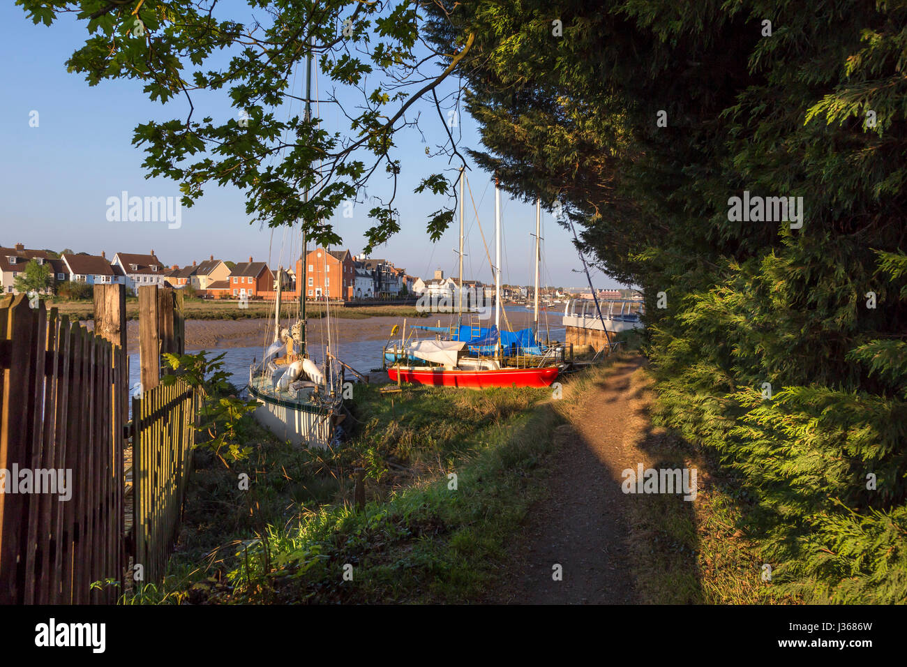 WIVENHOE NEAR COLCHESTER, AS VIEWED FROM ROWHEDGE ACROSS THE RIVER ...