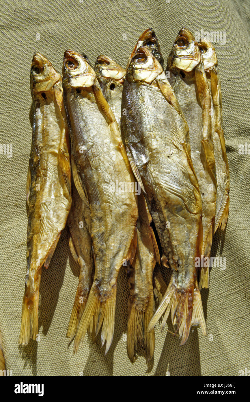 Vendace hi-res stock photography and images - Alamy
