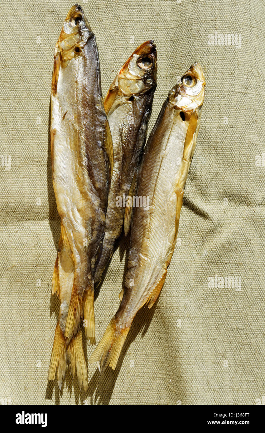 Vendace hi-res stock photography and images - Alamy