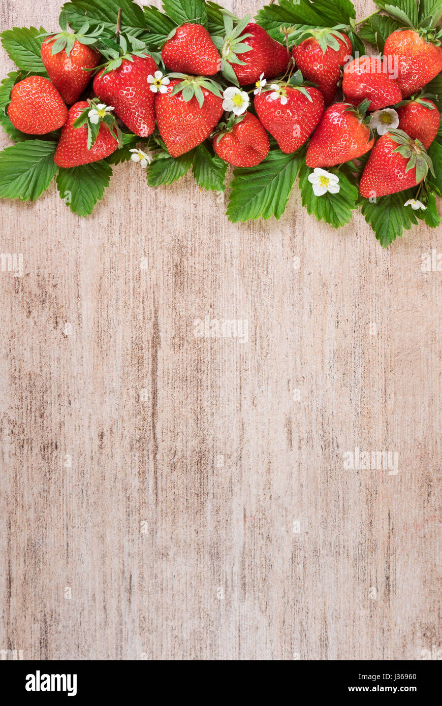 Ripe strawberries on rustic background with text space. Vertical image ...