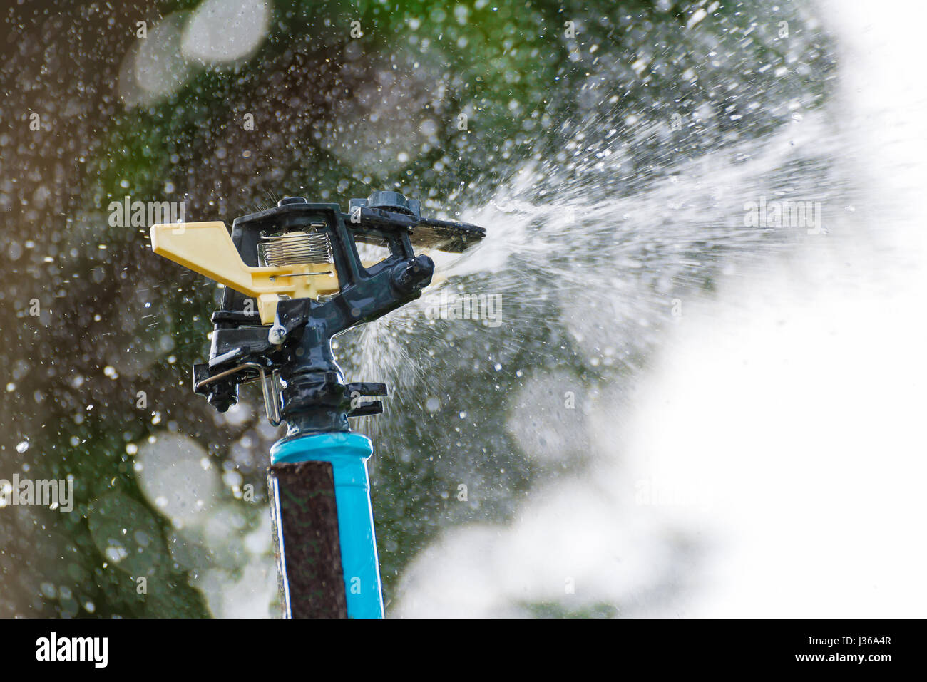 Water springer in the garden and Bokeh background Stock Photo - Alamy