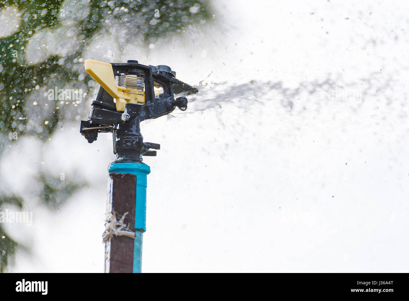 Water springer in the garden and Bokeh background Stock Photo - Alamy