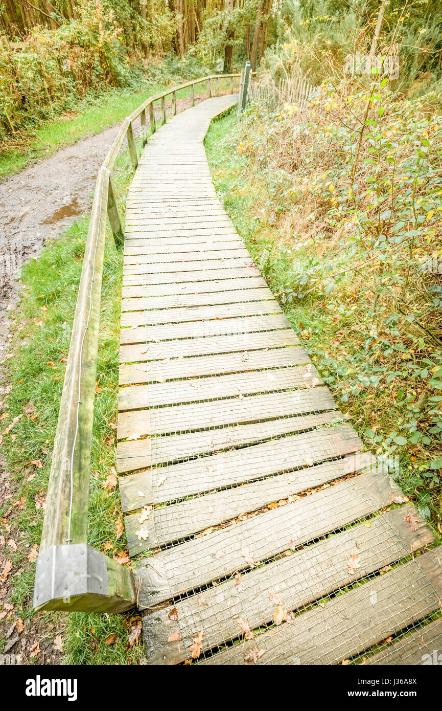 Raised boardwalk hiking nature trail hi-res stock photography and ...
