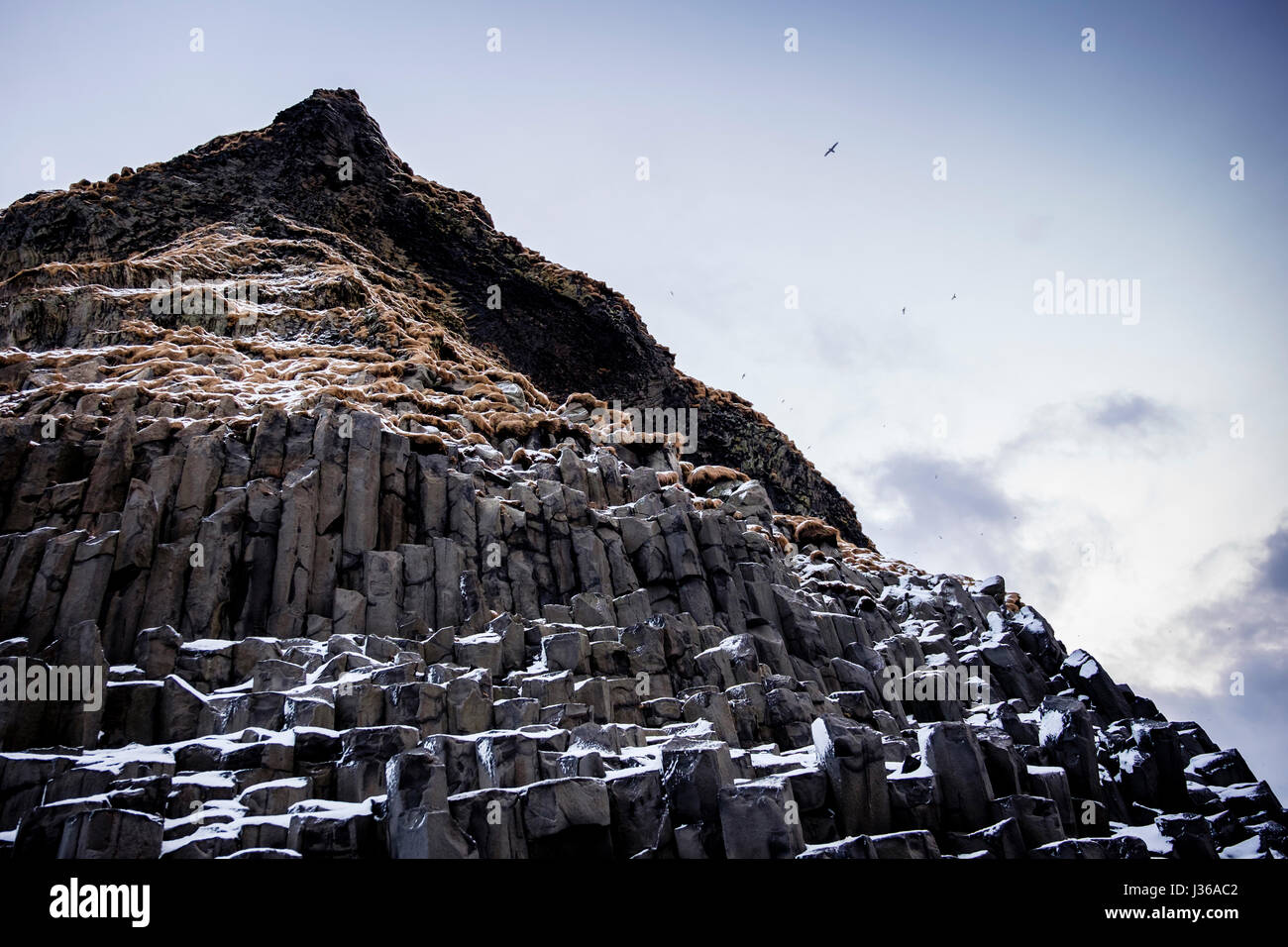 Basalt columns vik iceland hi-res stock photography and images - Alamy