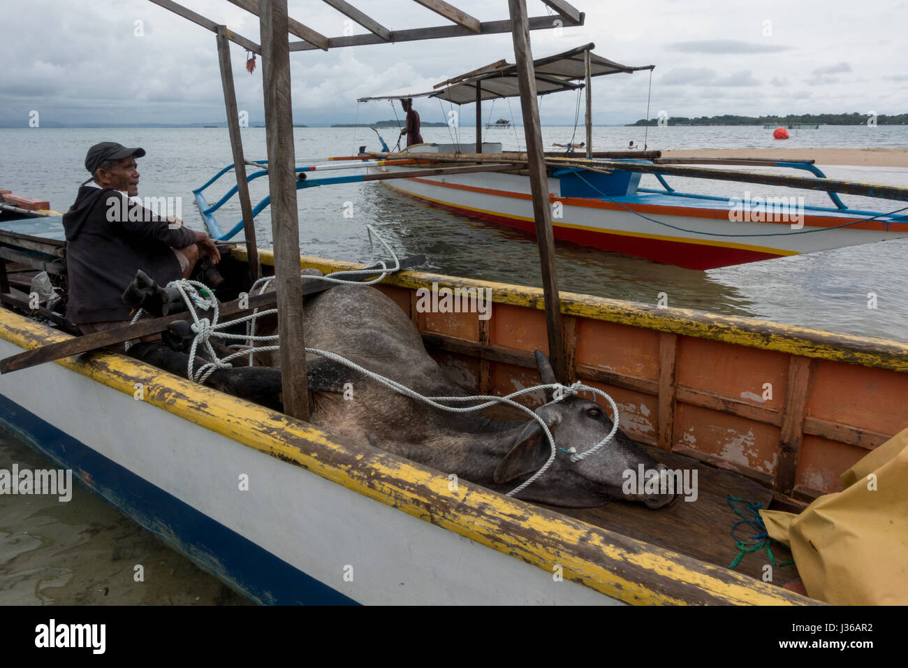 Pandanan Island, Philippines - April 30, 2017: A previously injure and ...