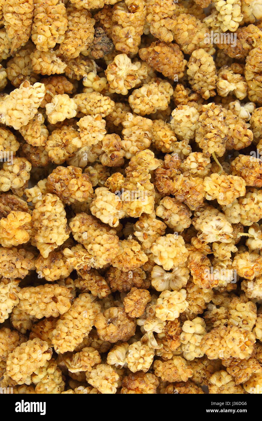 dried white mulberry fruits closeup as a food background texture Stock ...