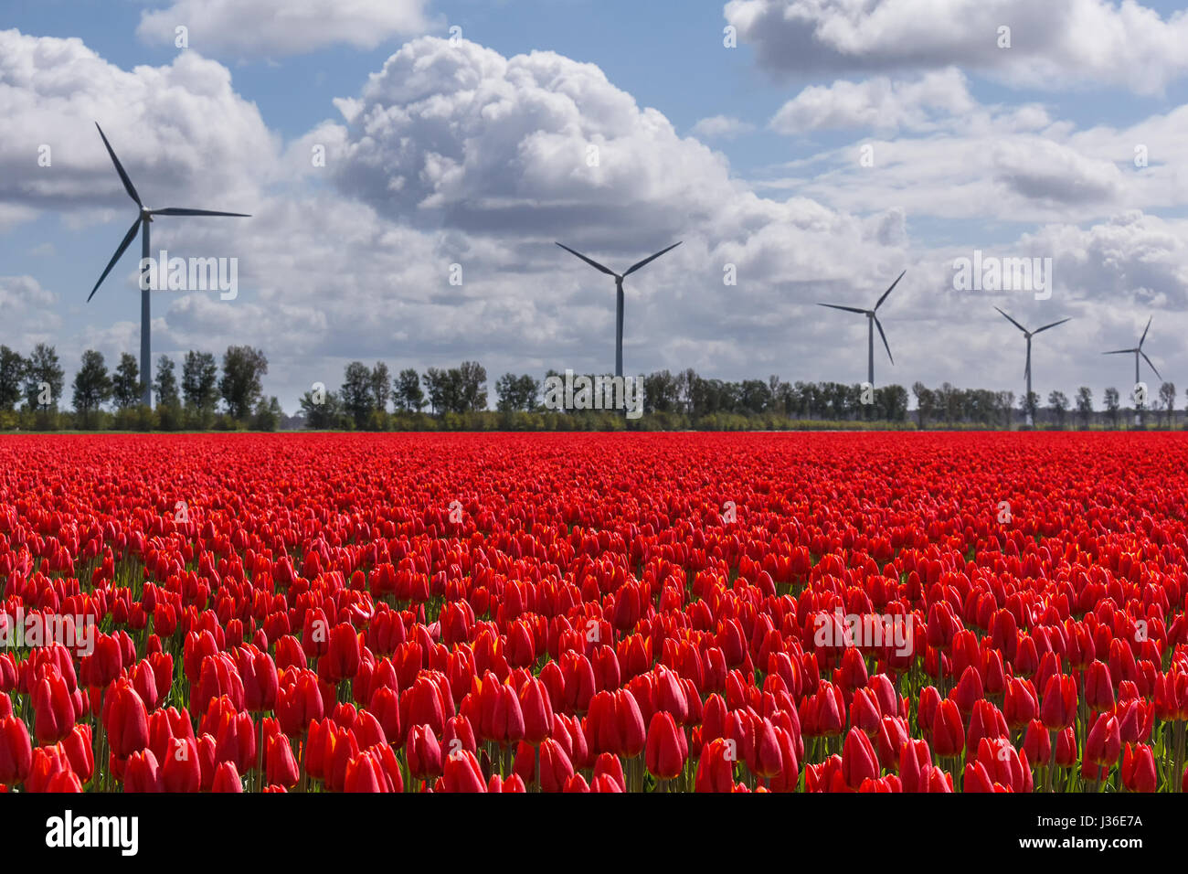 Wind turbine at landscape hi-res stock photography and images - Alamy