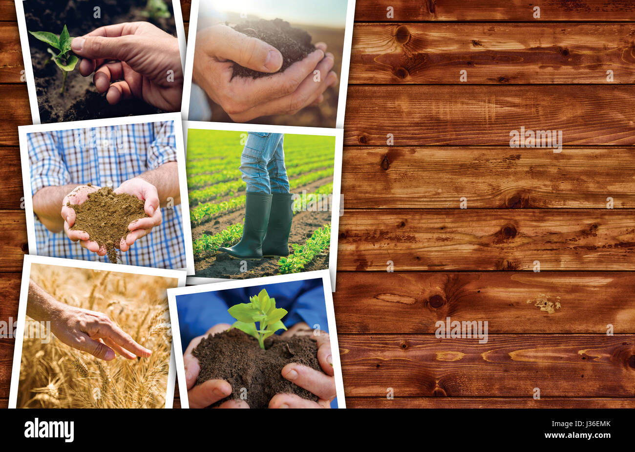 Agriculture themed photo collage with copy space on wooden background ...