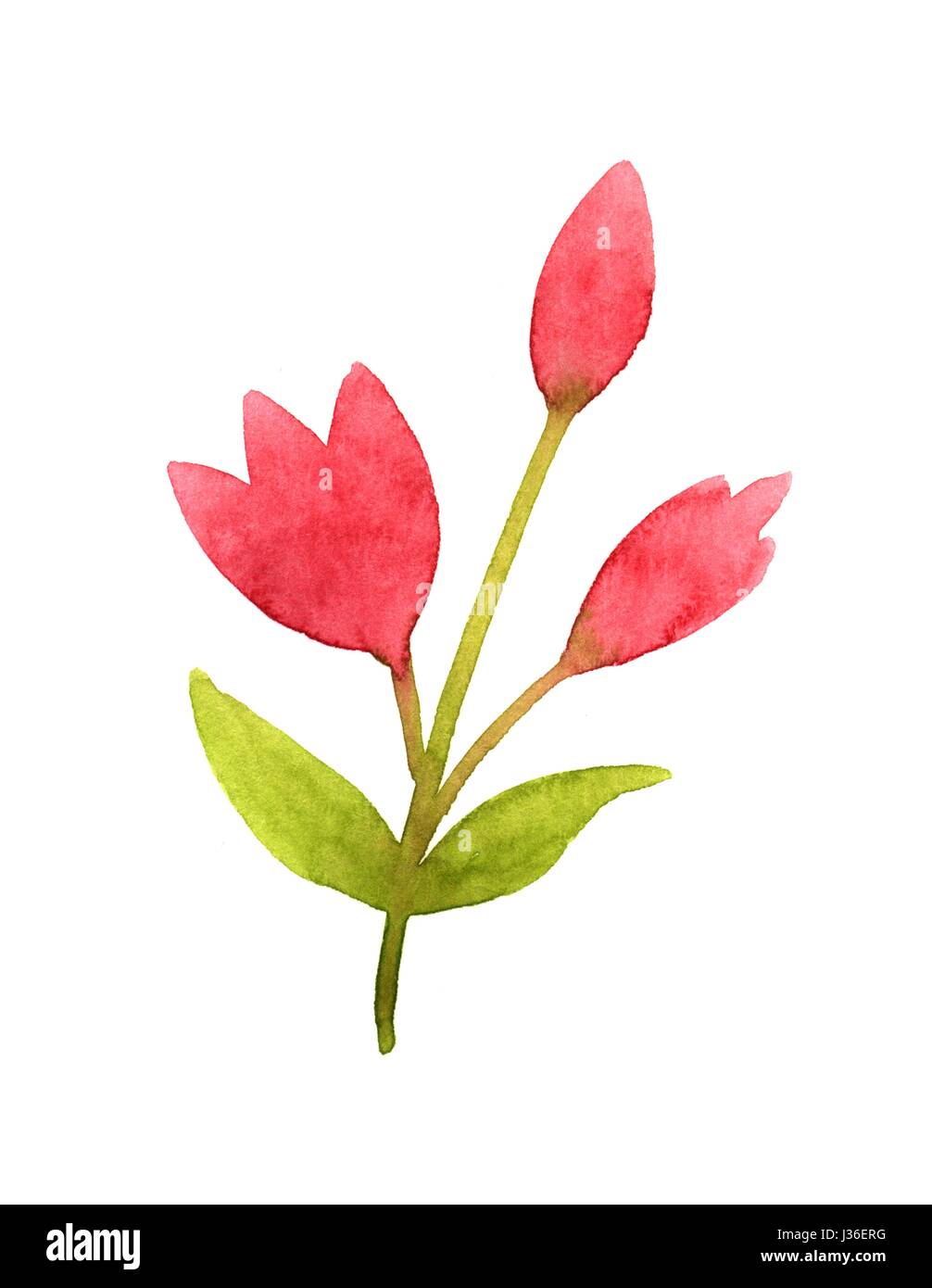 Blooming pink branch Cut Out Stock Images & Pictures - Alamy