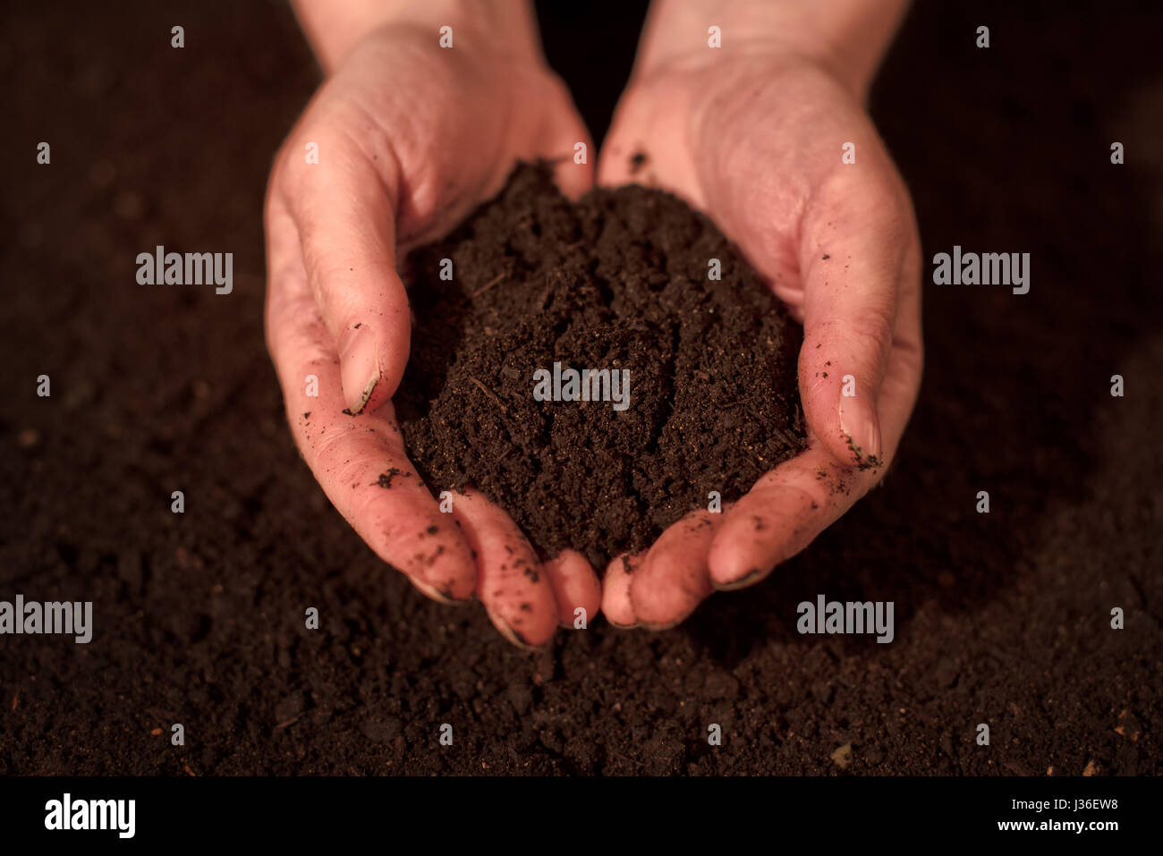 Quality soil in female gardener hands, cultivated dirt ground for ...