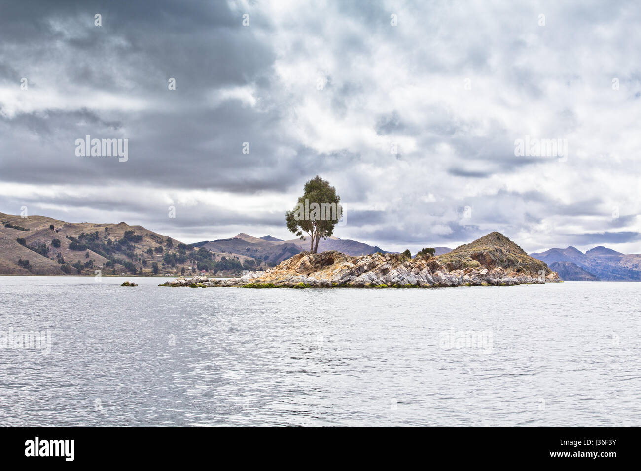 Island with tree in Titicaca. A boats man, fishermen. Road and boat ...