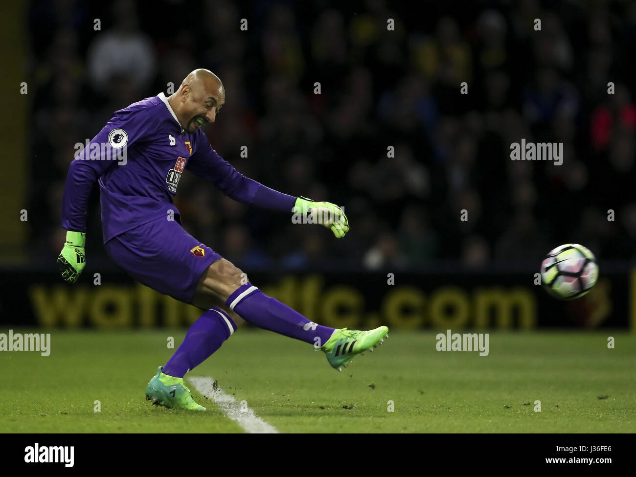 Watford goalkeeper Heurelho Gomes Stock Photo - Alamy