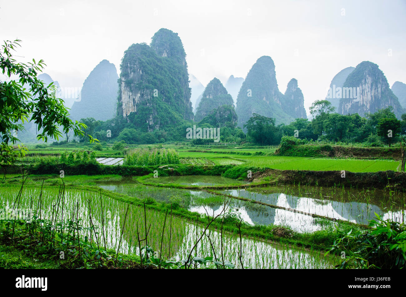 Beautiful karst mountains and countryside scenery in spring Stock Photo ...