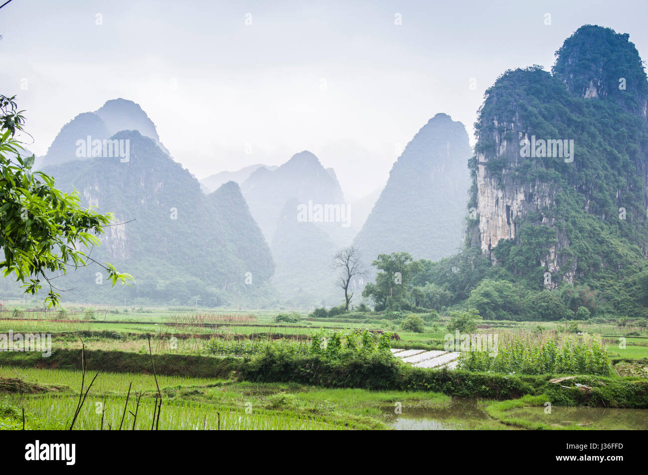 Karst peak mountains in green hi-res stock photography and images - Alamy