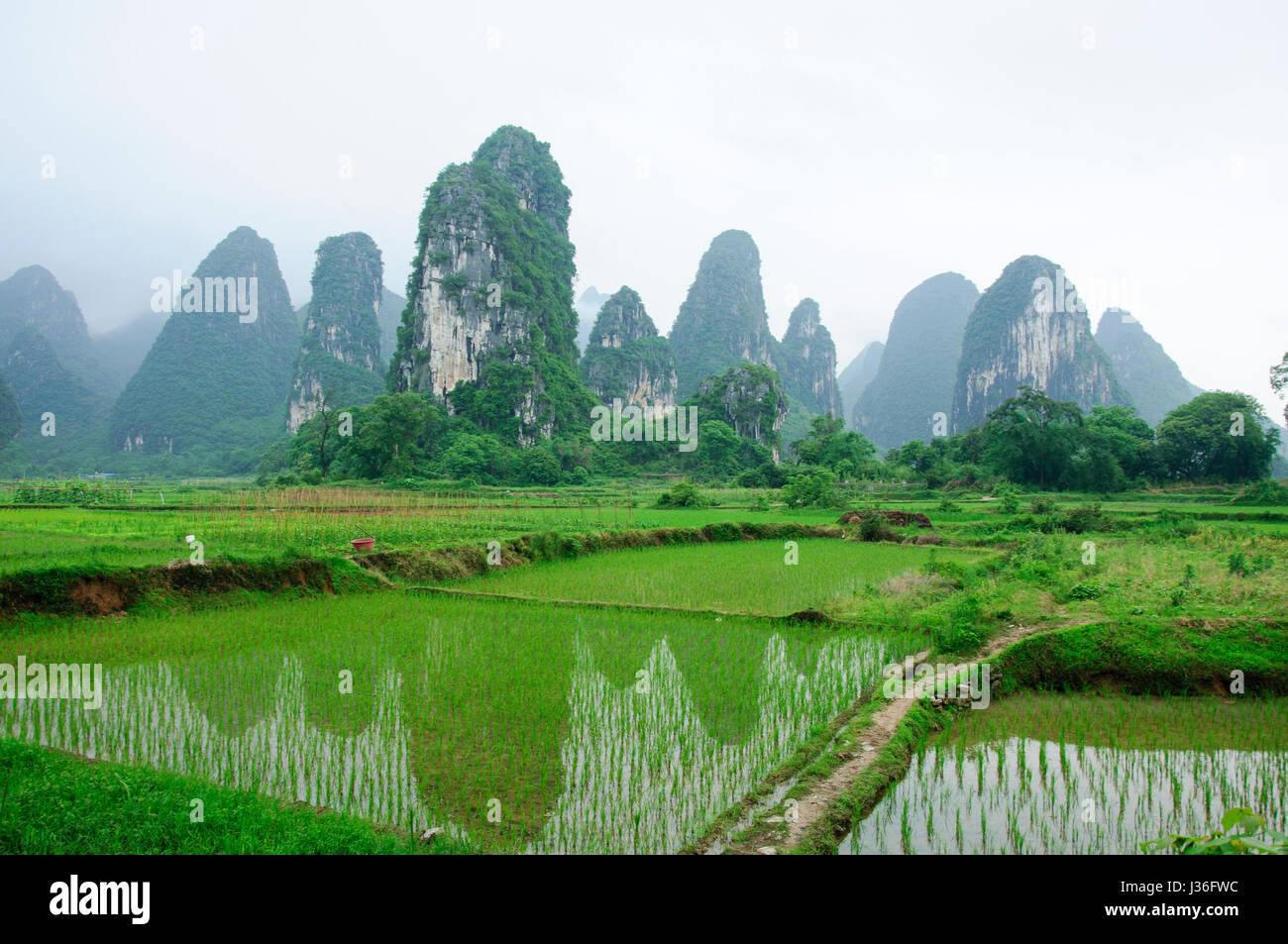 Karst peak mountains in green hi-res stock photography and images - Alamy