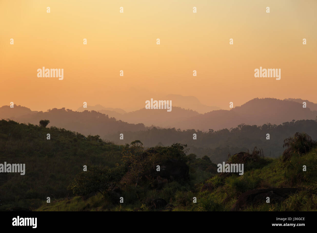 India kerala munnar dawn light hi-res stock photography and images - Alamy