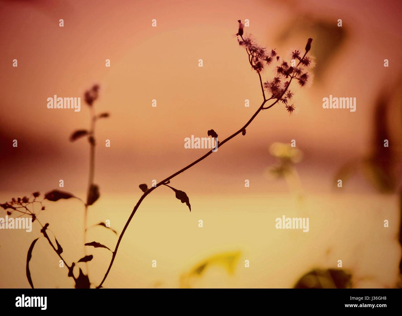 One Gloomy Pic Stock Photo - Alamy