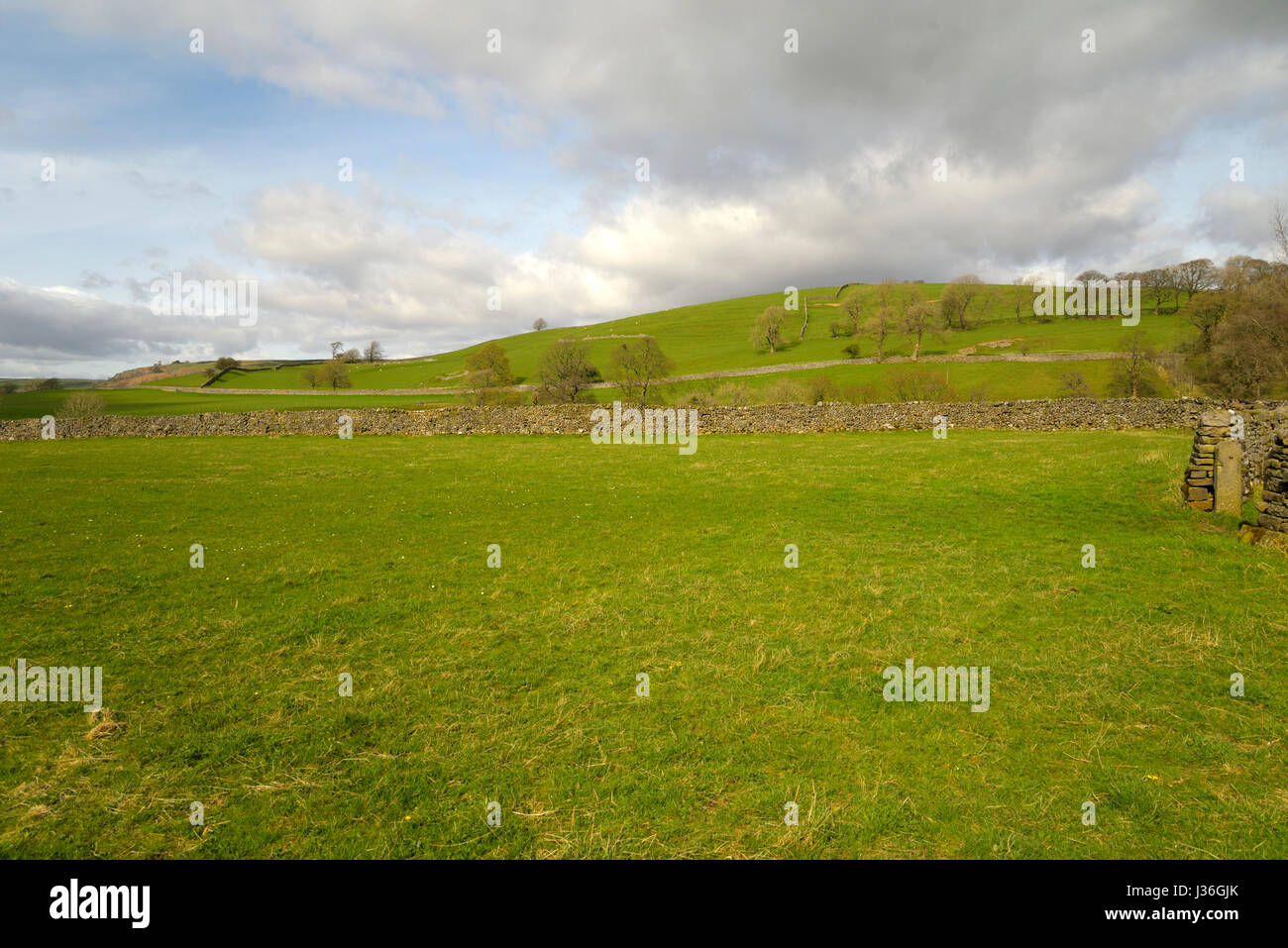 Burnsall View over fields and stone walls Stock Photo - Alamy