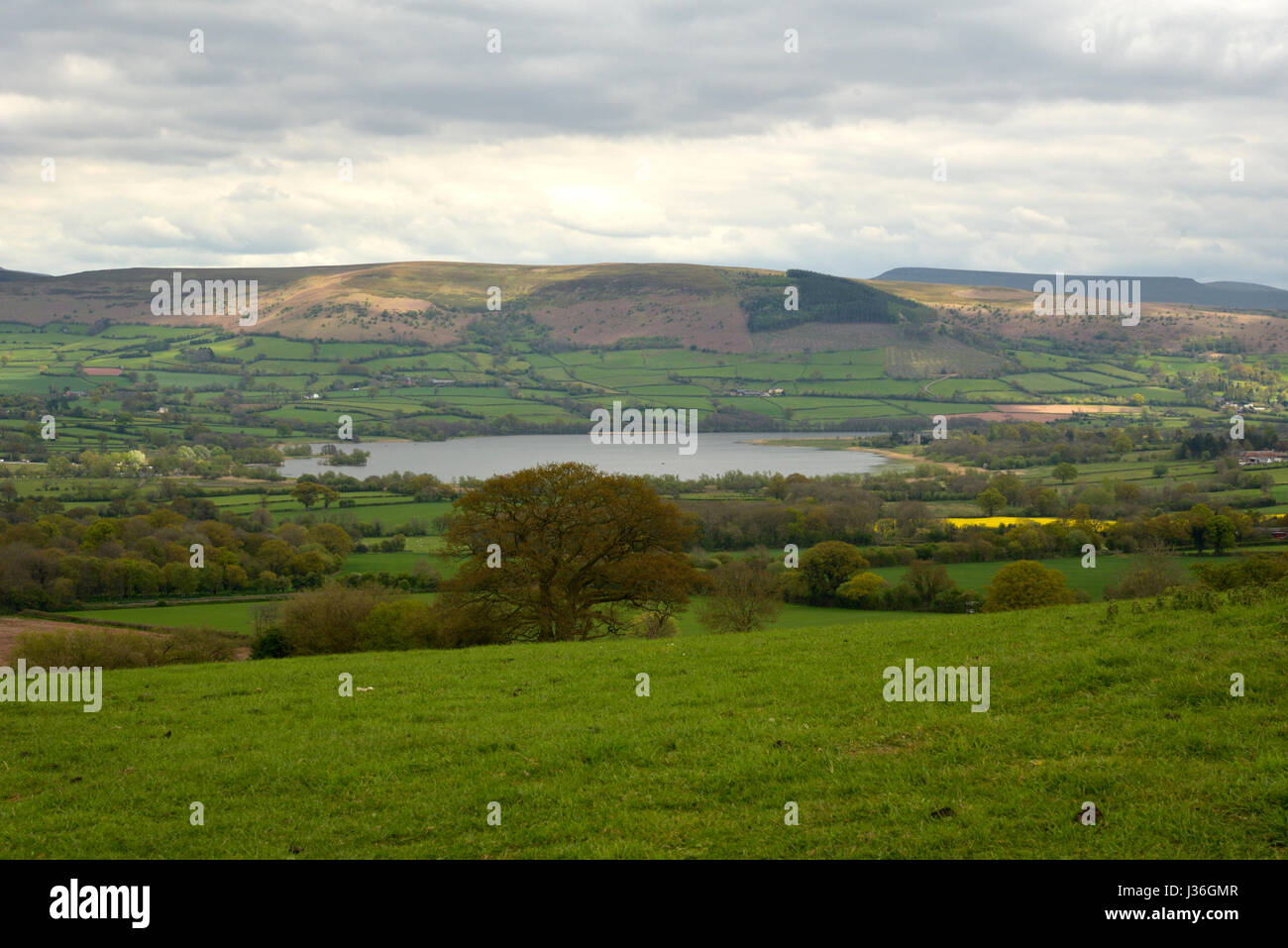 Llangors Lake from Pen y comin Stock Photo - Alamy