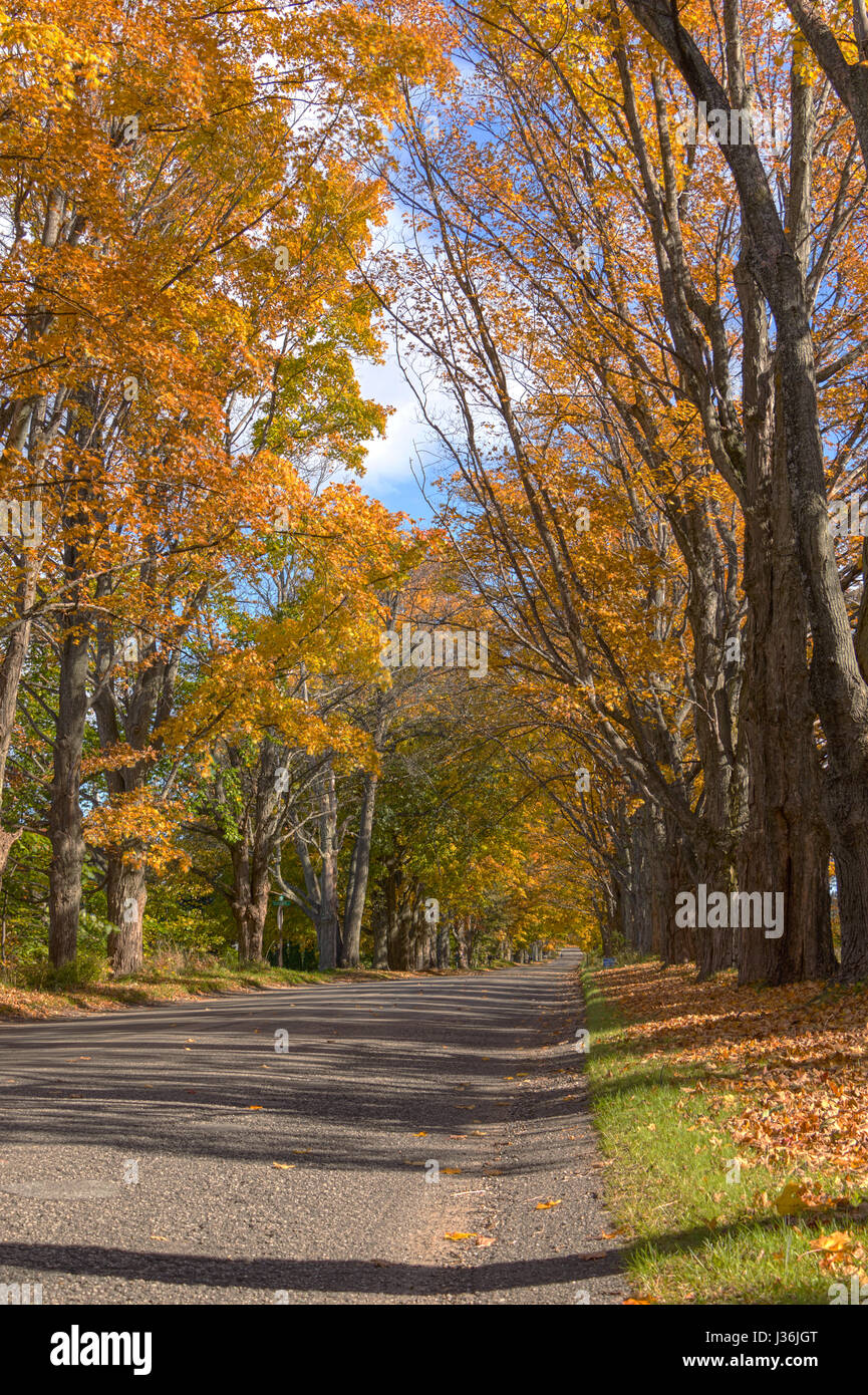 Cabinet mountains hi-res stock photography and images - Alamy
