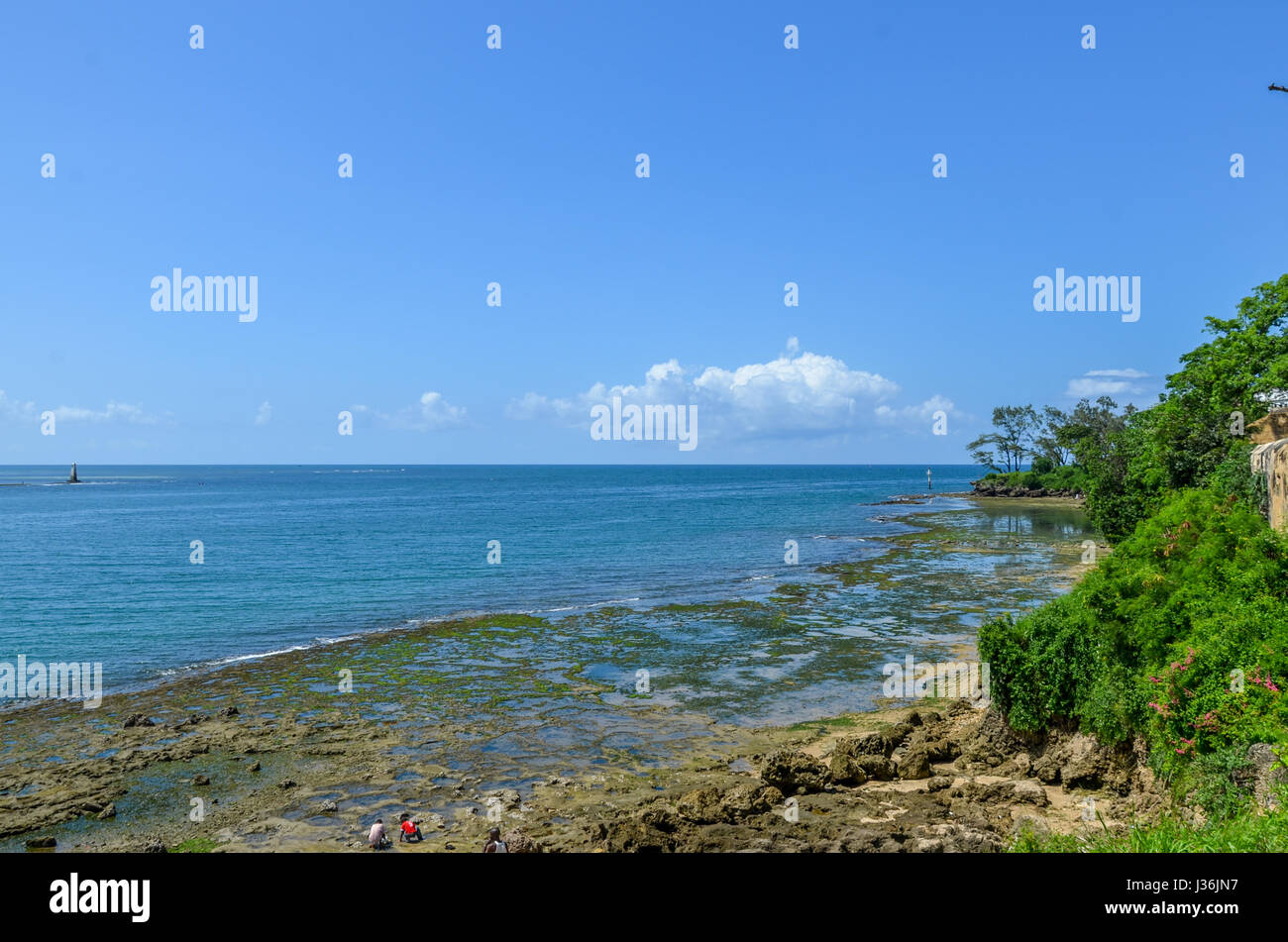 Indian Ocean Coast, Mombasa Kenya Africa Stock Photo - Alamy