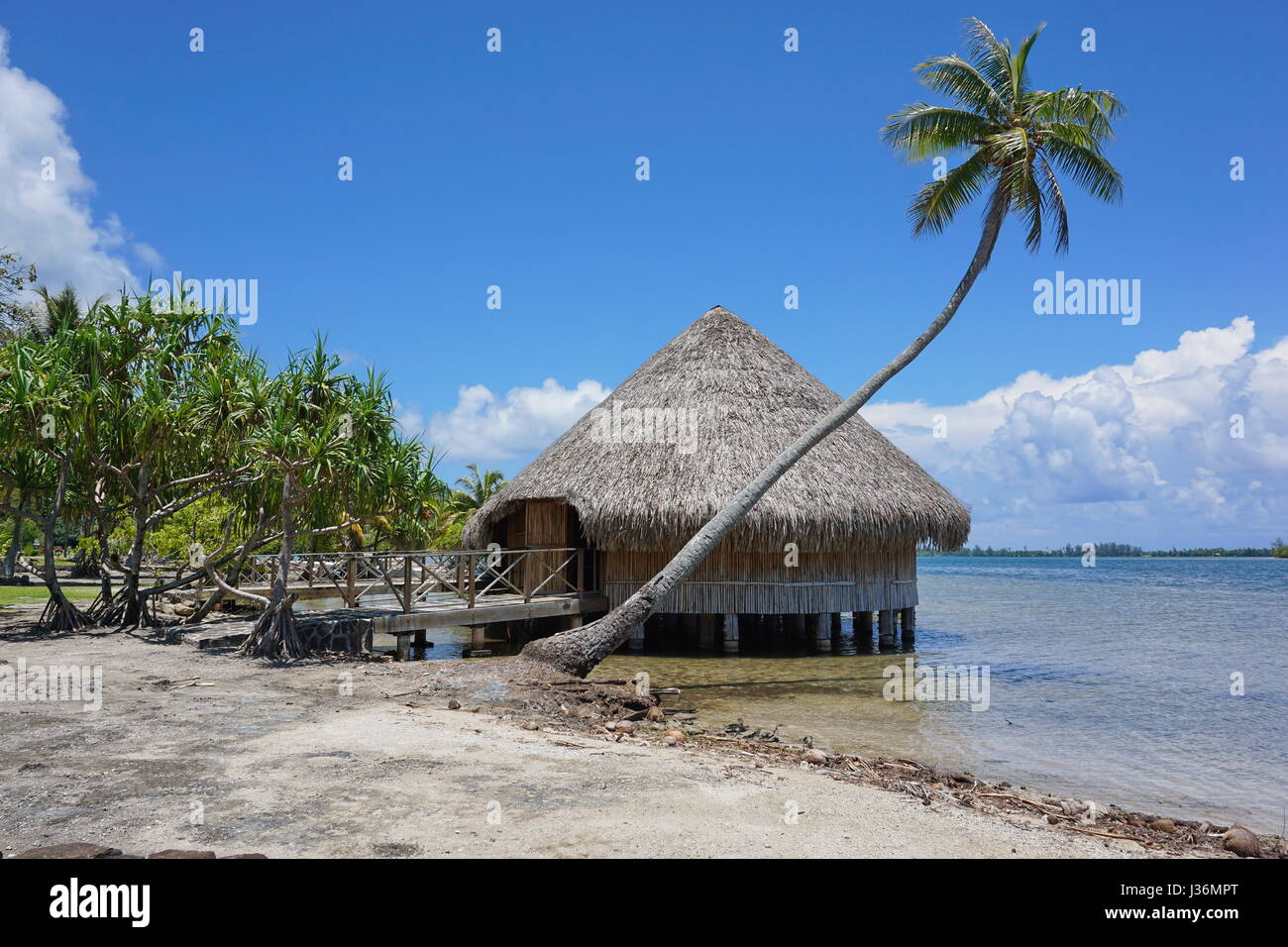 Polynesian architecture hi-res stock photography and images - Alamy
