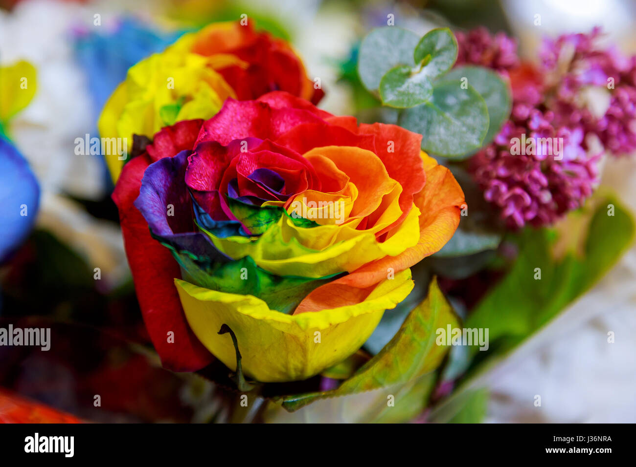 bouquet of colored roses Rainbow rose handcraft colorful rainbow rose ...