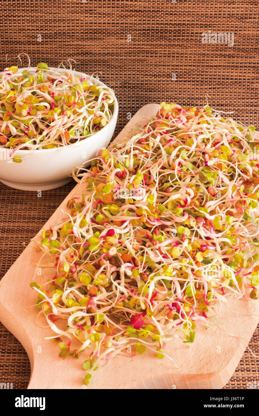 fresh radish sprouts Stock Photo - Alamy