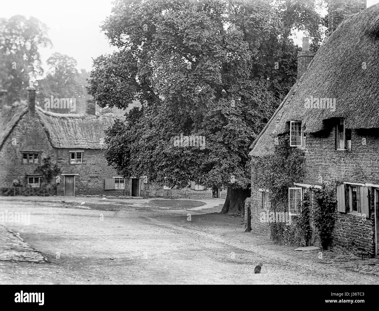 Thatched cottages in a small village on Exmoor, England in 1905 Stock ...