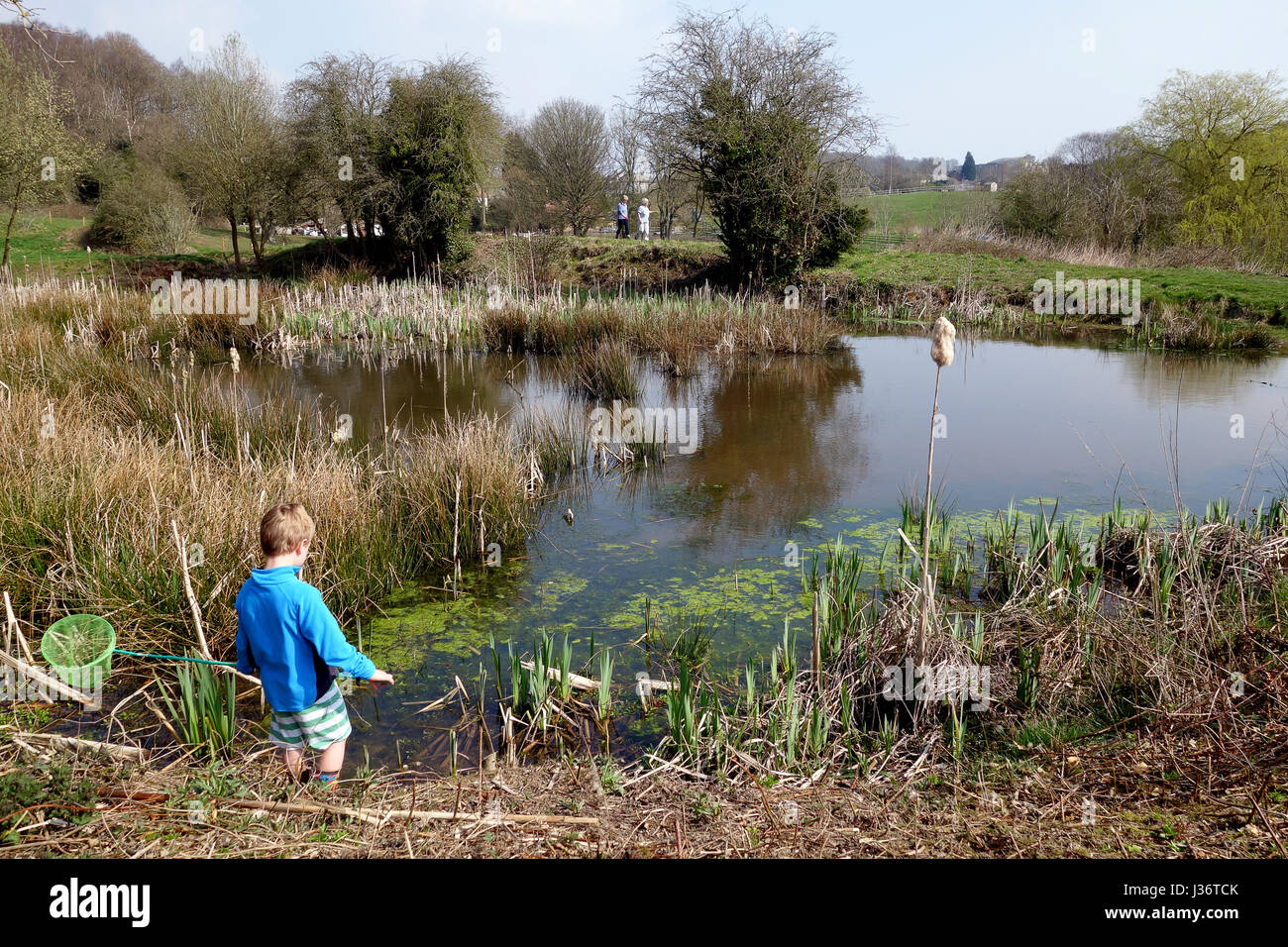 Young children young boys pond dipping England Britain Uk Stock Photo ...
