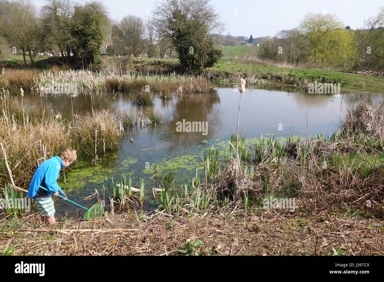 Children pond boys hi-res stock photography and images - Alamy