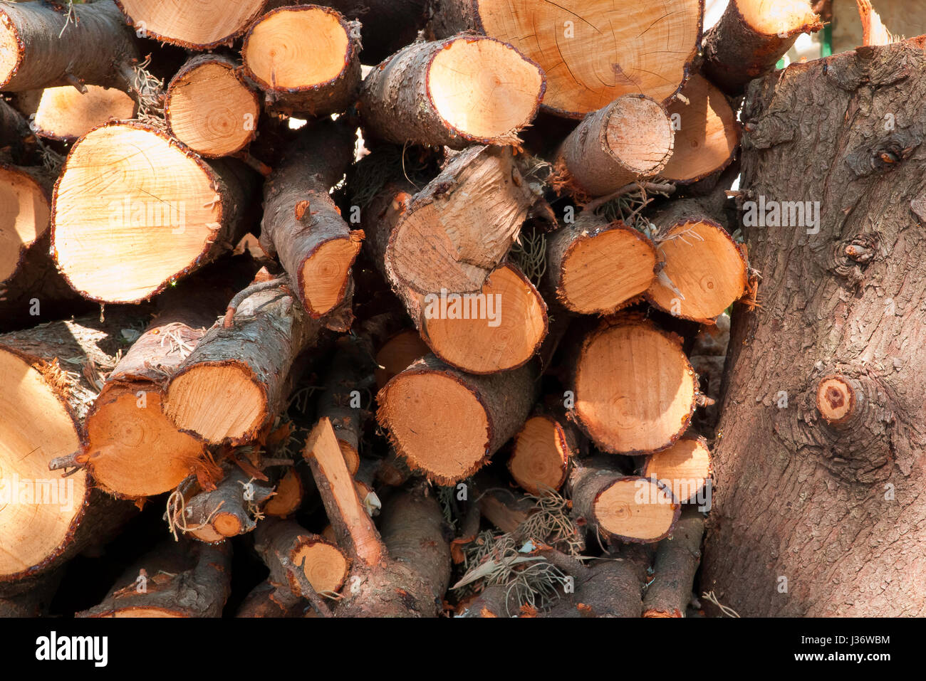 Greenwood farm hi-res stock photography and images - Alamy