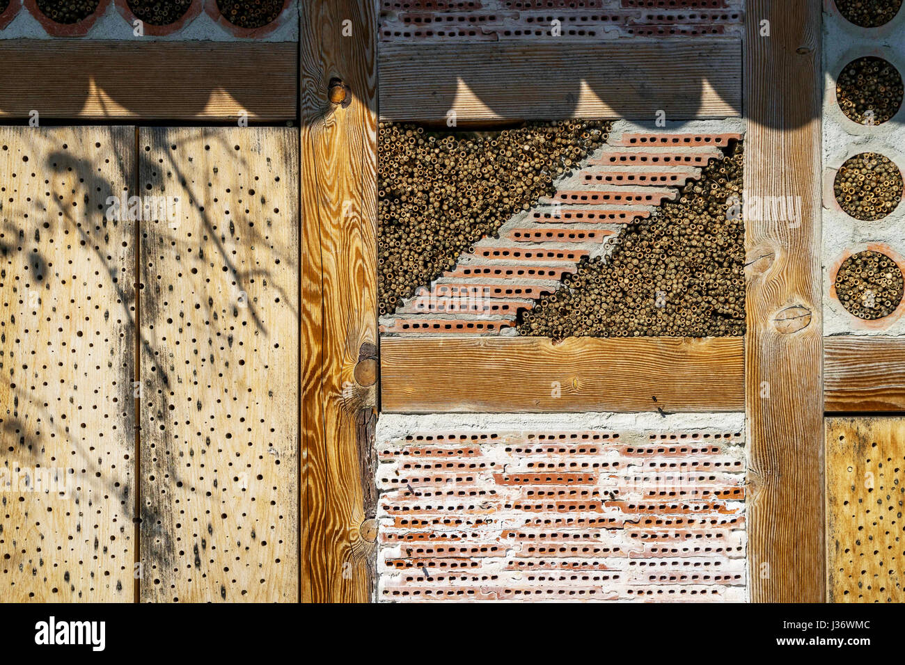 Bee house in the forest in Baden-Württemberg, Germany Stock Photo - Alamy