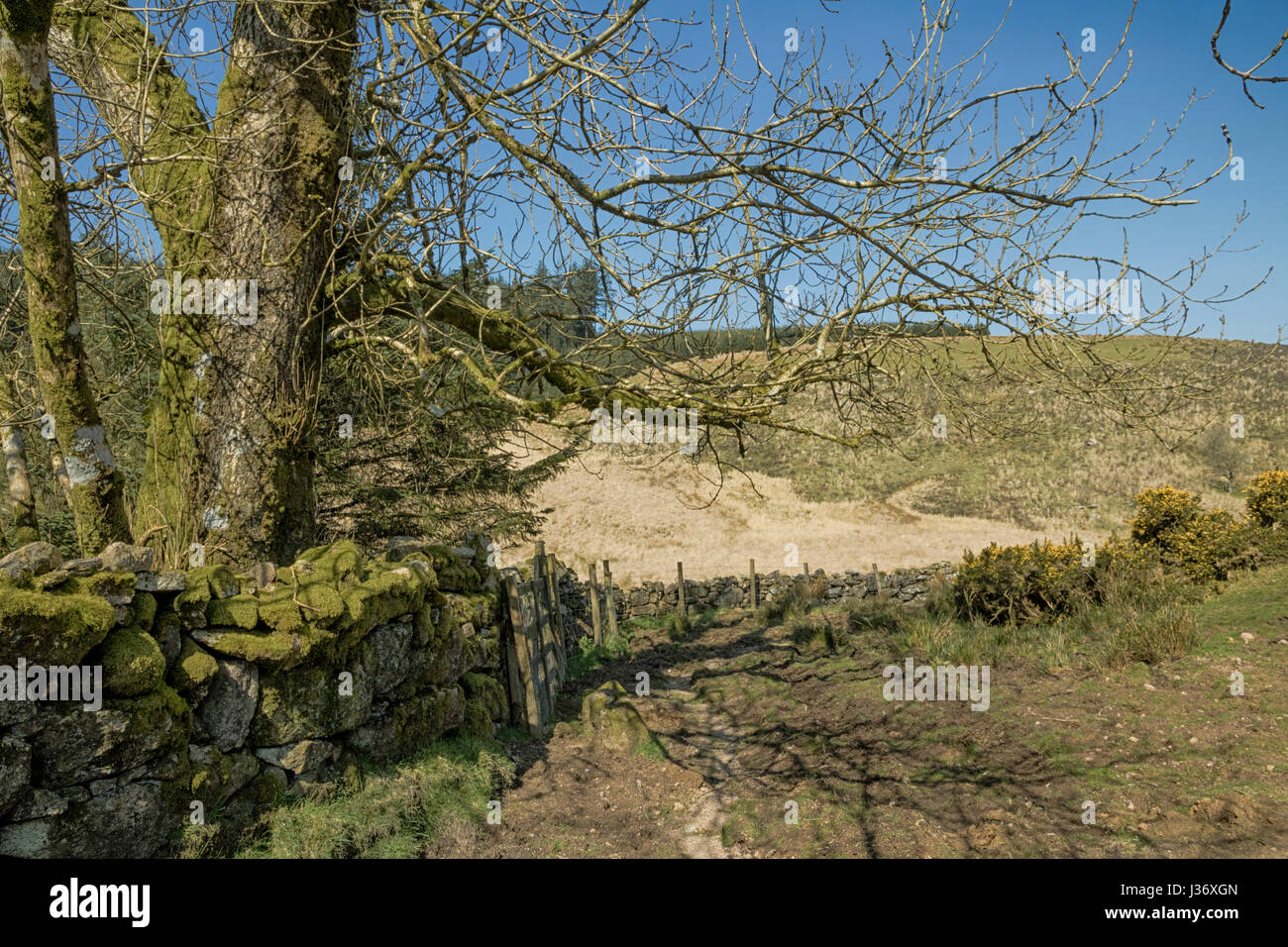 Rambling pathway hi-res stock photography and images - Alamy