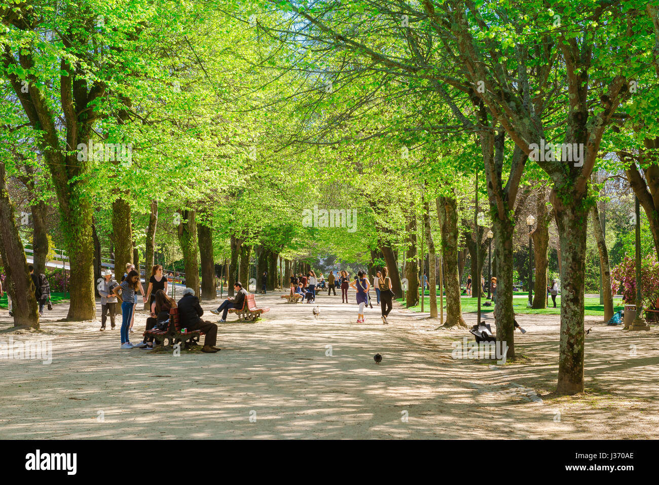 Spring in porto hi-res stock photography and images - Alamy