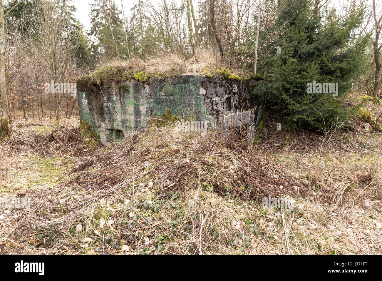 Bunker in the Hurtgenwald - Hurtgen Forest, Huertgenwald, Hürtgenwald ...