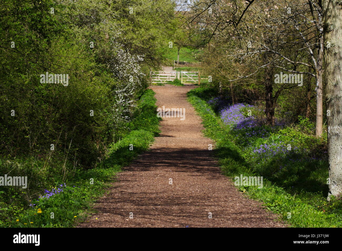 Howe park wood hi-res stock photography and images - Alamy