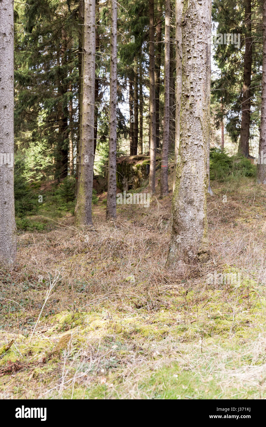 Bunker in the Hurtgenwald - Hurtgen Forest, Huertgenwald, Hürtgenwald ...