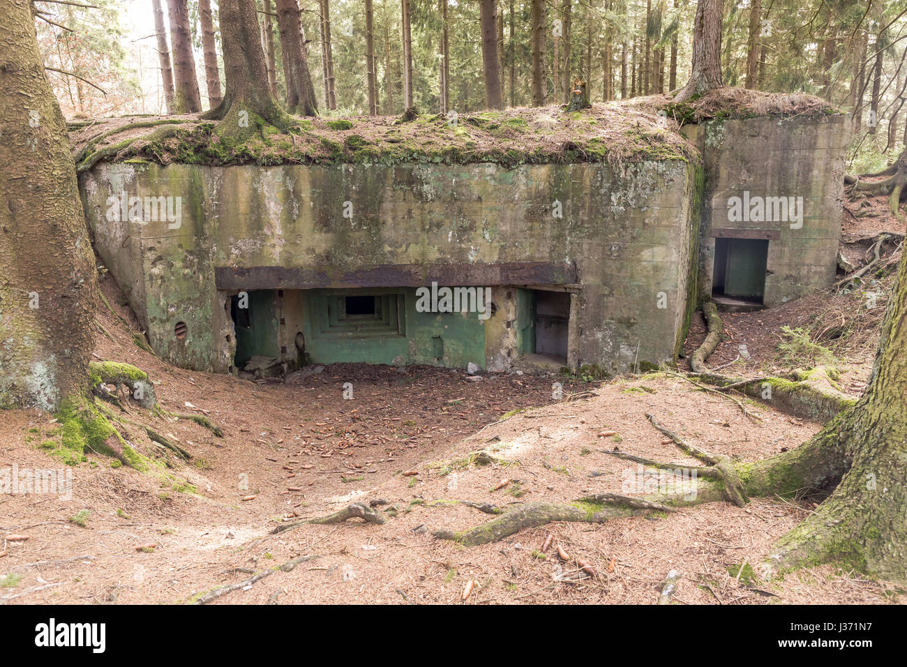Forest bunker hi-res stock photography and images - Alamy