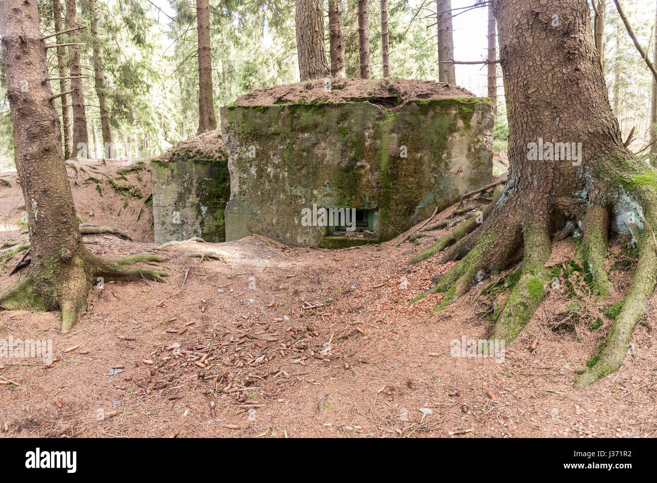 Hurtgen forest hi-res stock photography and images - Alamy
