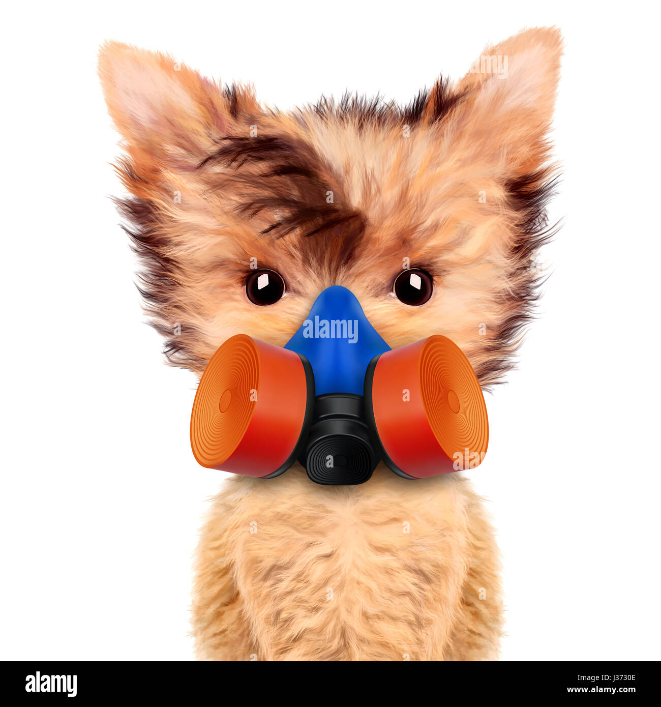 Funny dog in respirator Isolated on white Stock Photo - Alamy
